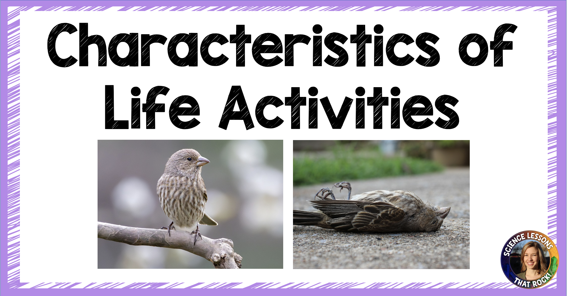 Teaching the Characteristics of Life - Science Lessons That Rock