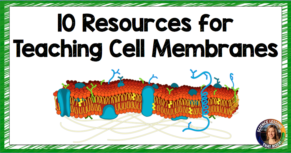 10 Resources For Teaching Cell Membranes Science Lessons That Rock 10 Resources For Teaching Cell Membranes Science Lessons That Rock