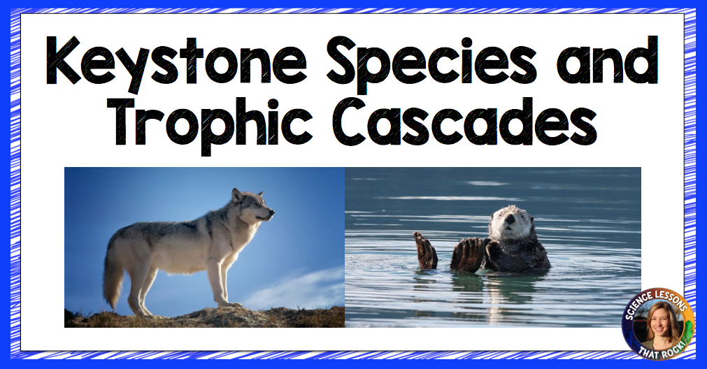 Keystone Species And Trophic Cascades Science Lessons That Rock Keystone Species And Trophic Cascades Science Lessons That Rock