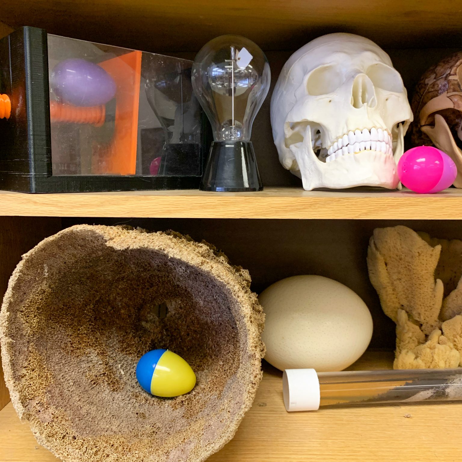 Easter Egg Science Experiments - Science Lessons That Rock