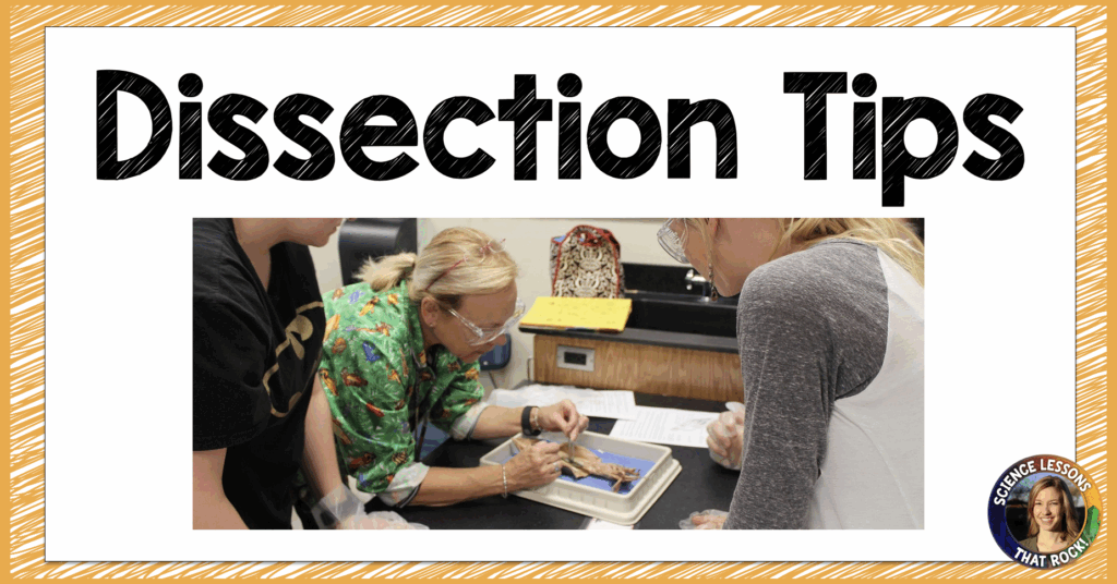 Classroom Tested Dissection Tips for Teachers - Science Lessons That Rock