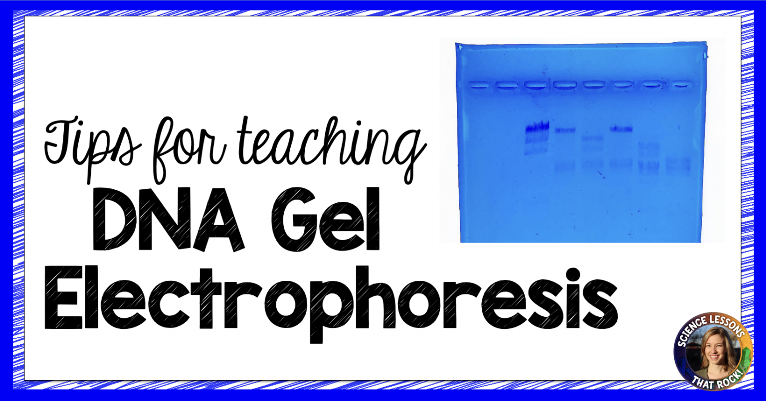 Gel Electrophoresis and DNA Fingerprinting - Science Lessons That Rock