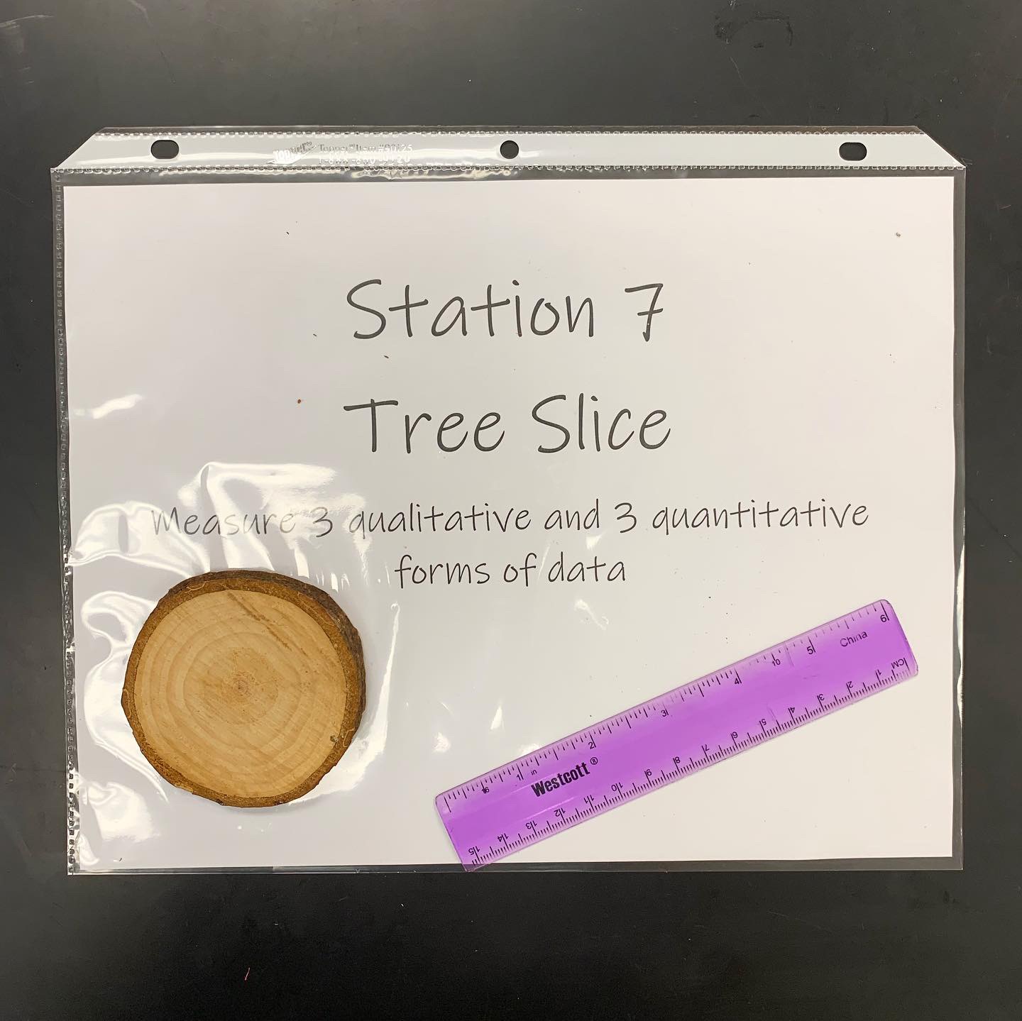 The Best Back To School Science Resources - Science Lessons That Rock