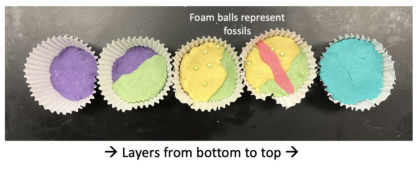 Relative Dating Stratigraphy Lab - Science Lessons That Rock