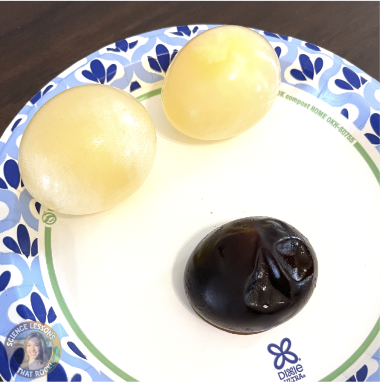 6 EASY ways to model OSMOSIS - Science Lessons That Rock