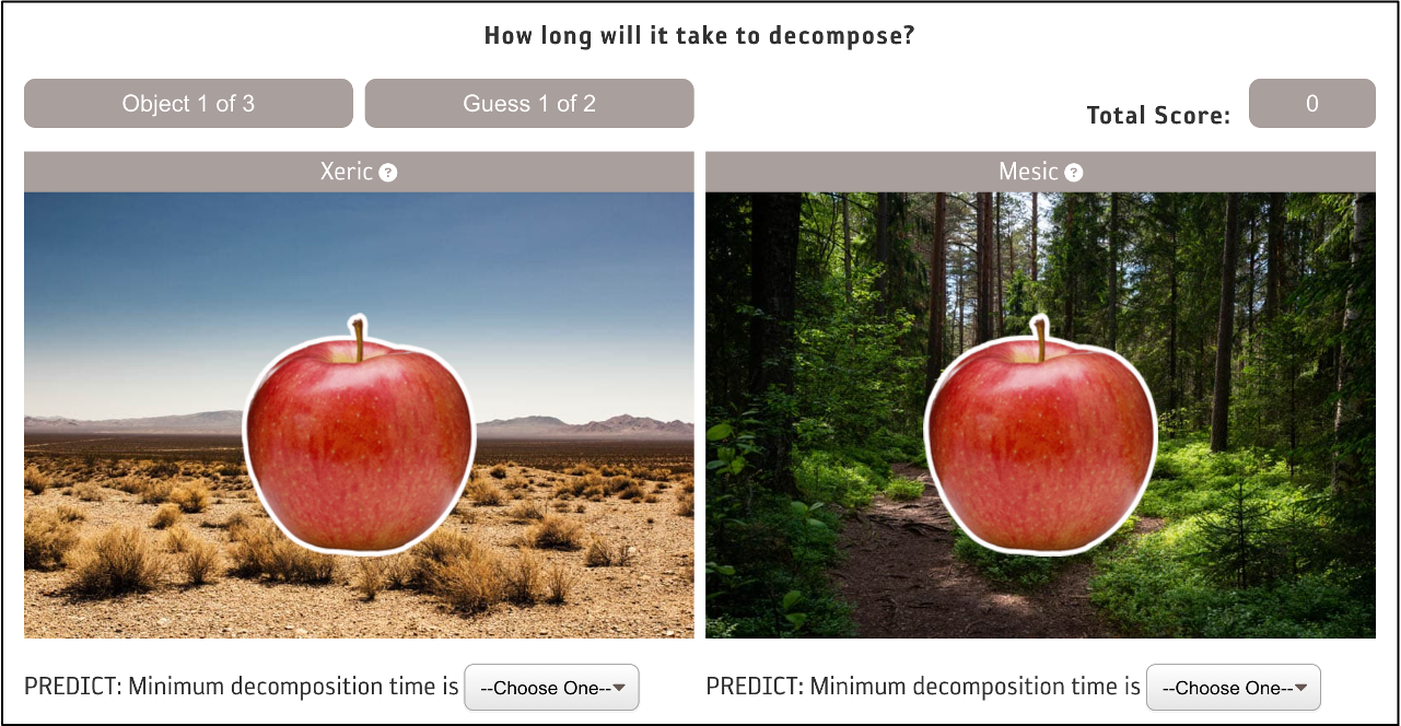 Decomposers Lesson Plan - Science Lessons That Rock
